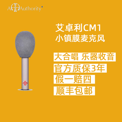 艾卓利CM1大合唱乐器收音小震膜