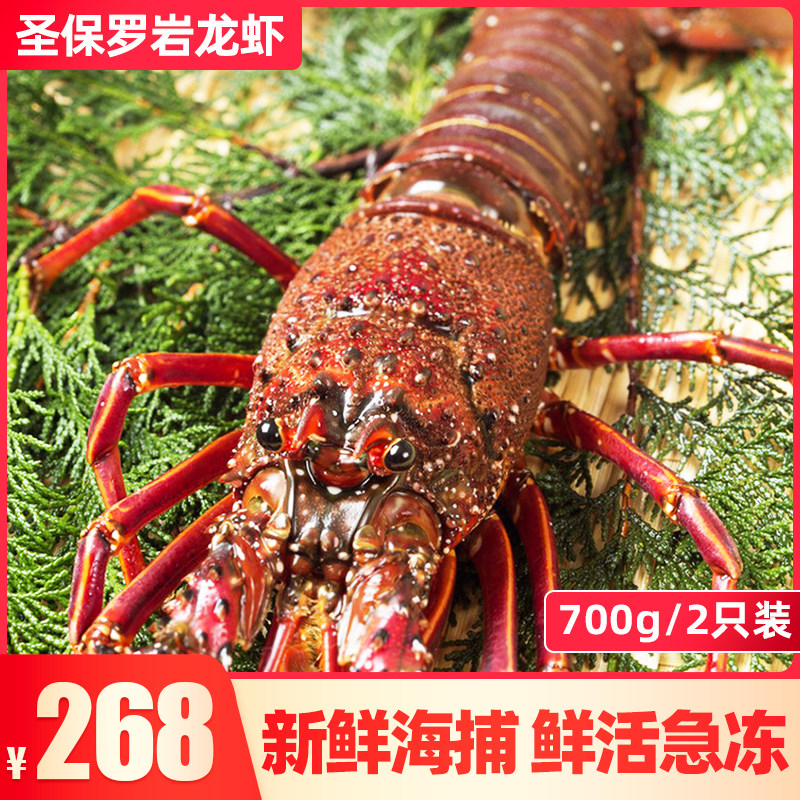 大龙虾红龙虾冷冻海鲜非鲜活 2只700g FAO51捕捞近似澳龙_虎窝淘