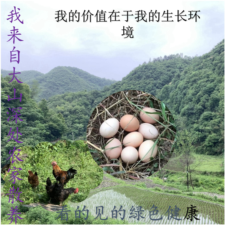 正宗农家散养土鸡蛋新鲜天然吃草柴鸡蛋笨鸡蛋梨园河农户养殖20枚