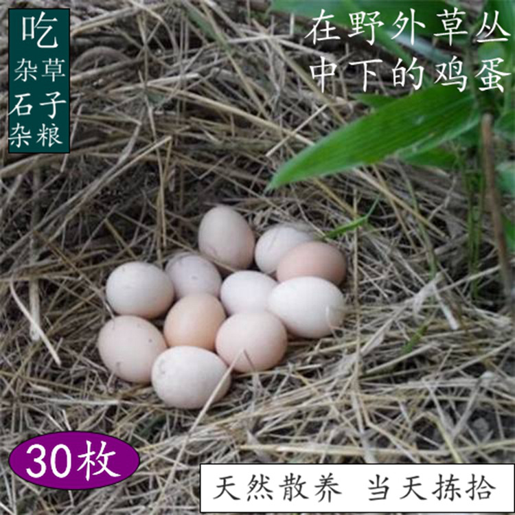 秦岭山区农家散养土鸡蛋新鲜草鸡蛋柴鸡蛋孕妇月子笨鸡蛋现捡现发