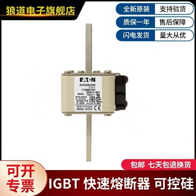 议价美国伊顿巴斯曼熔断器 170M5761  170M5762  170M5763  170M5