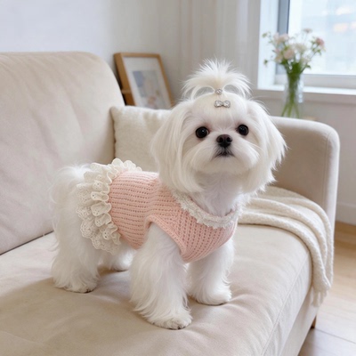 小型犬蕾丝甜美粉色毛衣裙宠物衣