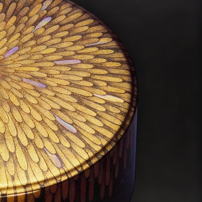 （自动发货）38册外语漆器资料（有翻译）pdf