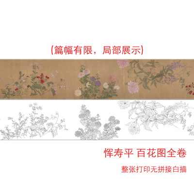 恽寿平百花线稿全卷白描工笔画