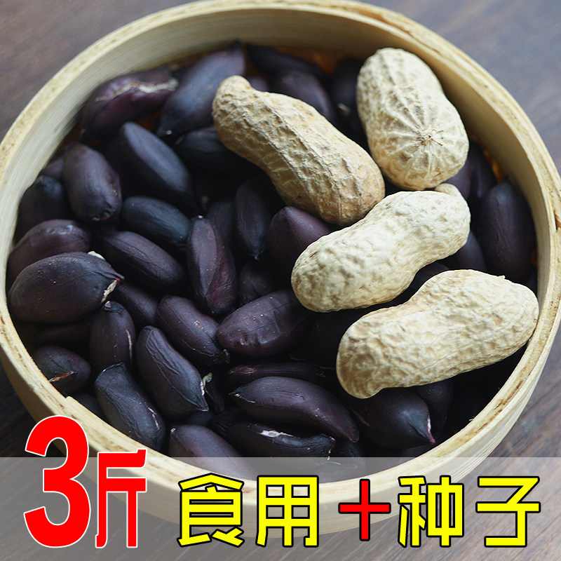 高山黑花生农家自种黑紫皮花生带壳花生太阳自然晒干1~3斤可选
