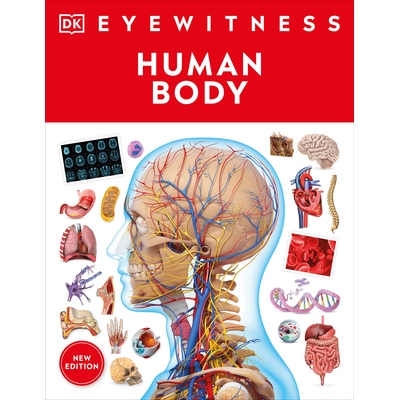 预订 目击者人体 DK Eyewitness DK目击者系列 科学自然 人体解剖生理 英文版 Eyewitness Human Body:9780744079913