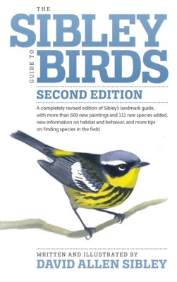 现货 英文原版 David Allen Sibley 手绘鸟类指南 The Sibley Guide to Birds, 2nd Edition