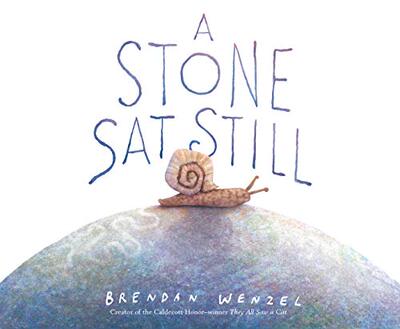 英文原版 一颗安静的石头 Brendan Wenzel插画绘本 精装 凯迪克奖得主 A Stone Sat Still