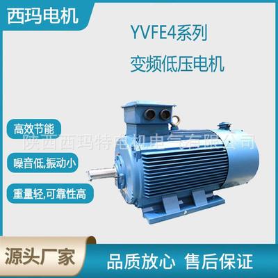 西安电机YV4-4504-6极800W660V大外圆变频三相异步电动机