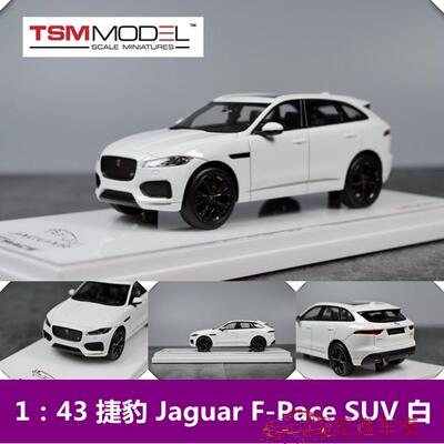 tsm143白色树脂汽车模型