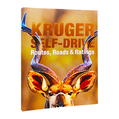 国家公园观赏地图道路分析