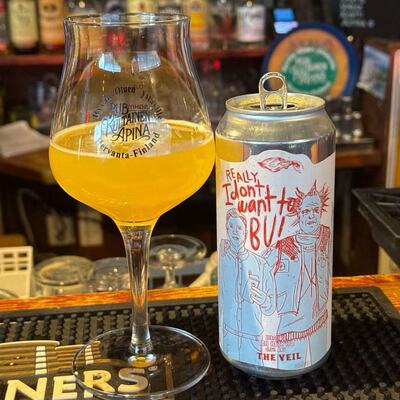 【洪雨精酿】 面纱 虚拟世界/春日回忆/继父监护/永别 精酿啤酒