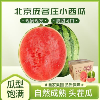小西瓜新鲜头茬薄皮顺丰包邮