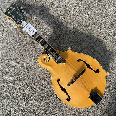 D.ANGELICO曼陀铃mandolin吉他