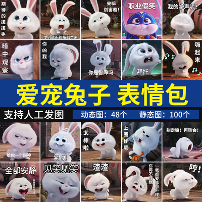 兔子表情包 爱宠大机密萌兔搞怪卖萌可爱搞笑聊天怼人斗图表情图