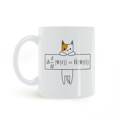 量子力学 薛定谔方程 Schrödinger equation 物理学生专业马克杯