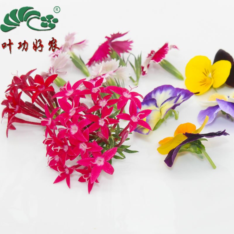 农美啊华 新鲜摆盘装饰混合花A款 石竹花五星花角堇非三色堇 50朵