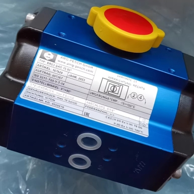 AMG-PESCH BR03-SAD 15  执行器167629