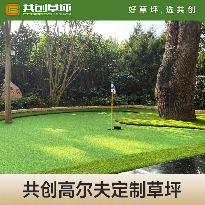专用定做高尔夫草坪共创
