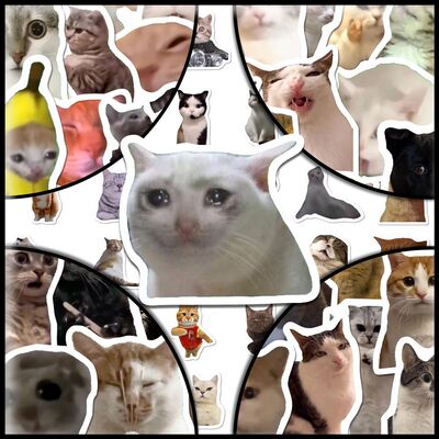 202张猫meme贴纸网红爆款