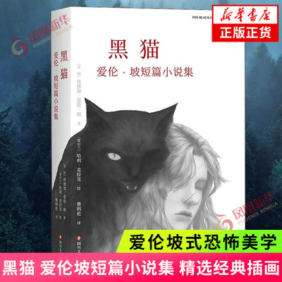 黑猫 爱伦坡短篇小说集 精选14幅由爱尔兰插画大师哈利克拉克创作的经典插图爱伦坡式恐怖美学 侦探悬疑推理惊悚恐怖小说外国小说