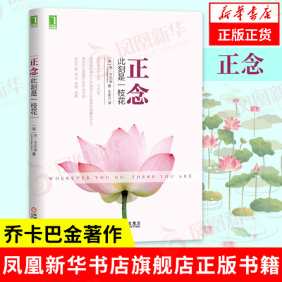 【凤凰新华书店旗舰店】正念 此刻是一枝花 减压 乔卡巴金力作 心理图书20年来改变了无数人的生活乔布斯的创新源泉