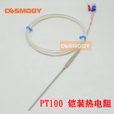 PT100铠装热电阻 WZP-191 针形铂电阻 PT100温度传感器