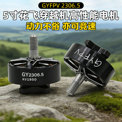 GYFPV2306.5电机花飞竞速1950KV