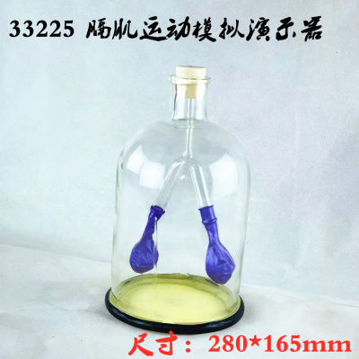 33225膈肌运动模拟器手动人体呼吸模型生物科学实验器材教学仪器