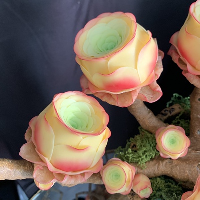 手工粘土永生多肉玫瑰创意摆件礼
