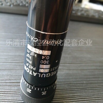 31100自动攻丝打孔稳速器