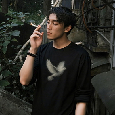 DE 和平鸽印花做旧长袖T恤男秋季260克纯棉重磅男女款打底衫