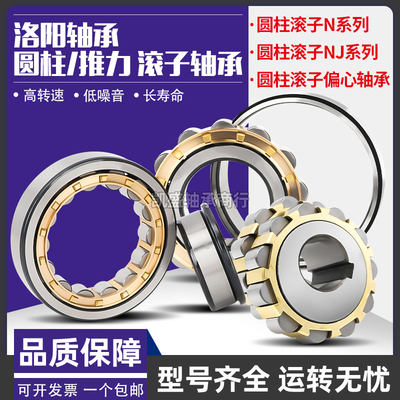 洛阳圆柱滚子轴承NU2203EM
