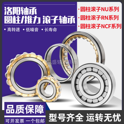 洛阳满圆柱滚子轴承NCF202V