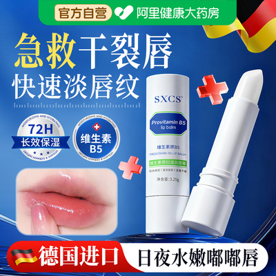 凡士林B5润唇膏女保湿滋润补水防干裂唇炎专用秋冬去死皮淡化唇纹