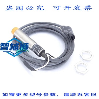 现货供应 EFECTOR IGA2008-FRKG-IG5777 开关