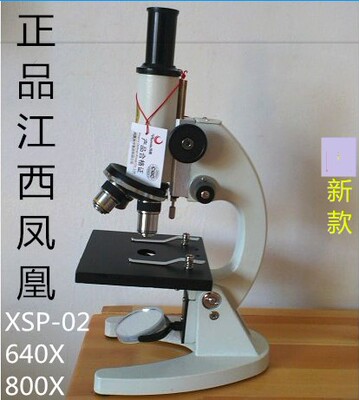 学生便携生物显微镜凤凰
