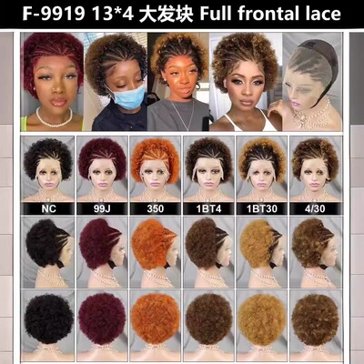 跨境F-9919 13x4 lace wig braid Afro human hair peruvian hair