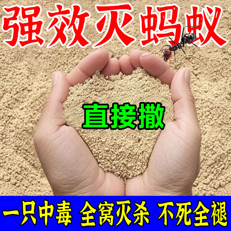 强效蚂蚁药家用全窝一锅端室内户外黑红白蚂蚁防治专用非无毒灭杀