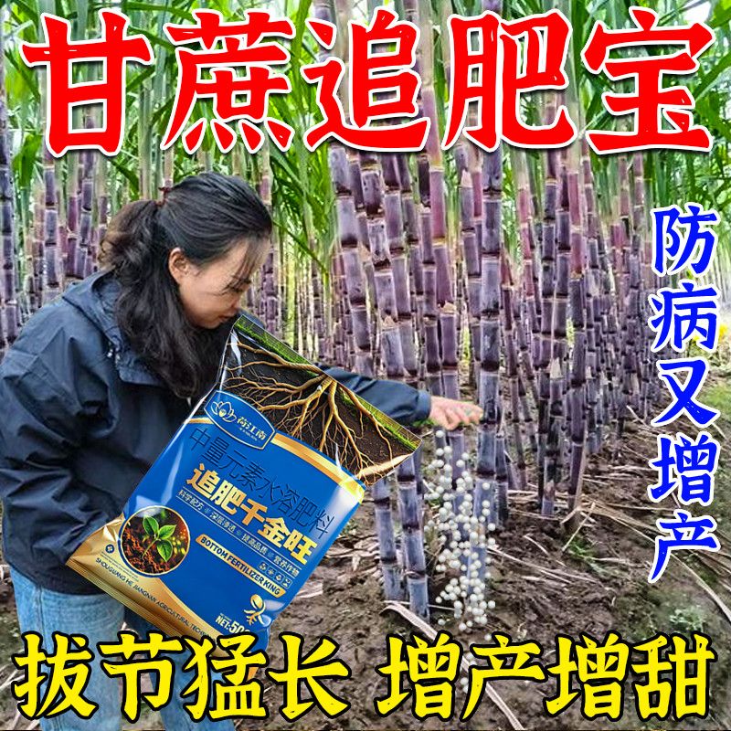 甘蔗培土追肥甘蔗拉长膨大增甜生根壮苗茎杆粗壮抗倒伏增甜高产肥