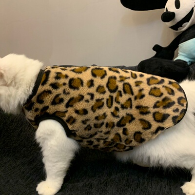 豹纹宠物猫咪衣服无袖背心加绒款