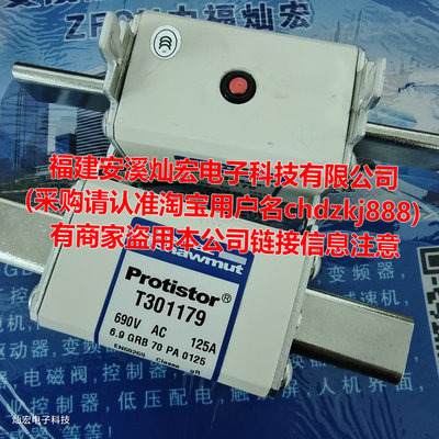 法国罗兰熔断器T301179 690V 125A 6,9GRB70PA0125 拍联系