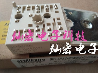 全新原装IGBT电源模块SKiiP11HEB066V1 拍联系库存价格
