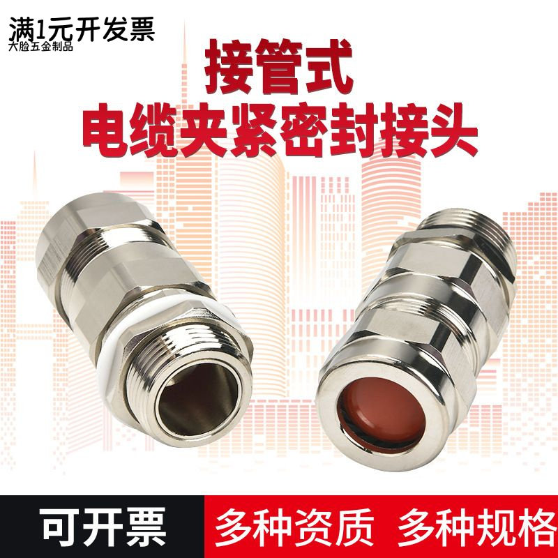 防爆电缆夹紧密封接头 BDM-III接管式不锈钢接头防爆防尘管接头