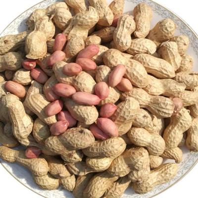 四川农家自产干花生香糯营养无任何添加剂