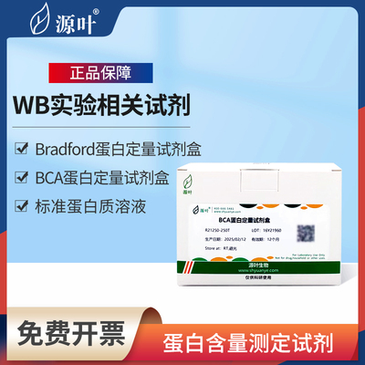 源叶标准蛋白质溶液BCA蛋白定量