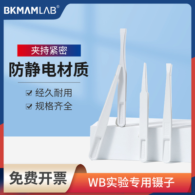 比克曼生物WB专用镊子
