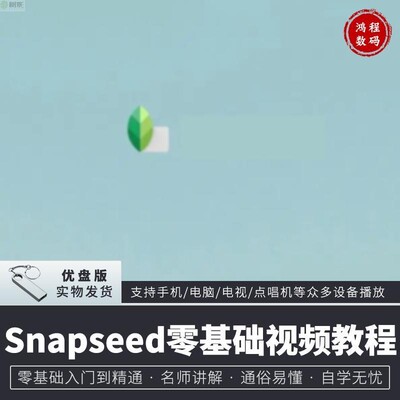 SnapSEED零基础自学视频教程 零基础自学教程U盘手机电脑电视优盘