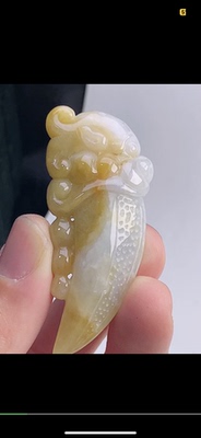 55.3-24.2-11.2mm,黄翡立体龙牙吊坠，天然翡翠A货aaa6915十四