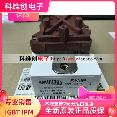 全新现货 SKIIP613GB123CT SKIIP603GB173GT SKIIP513GB173CT